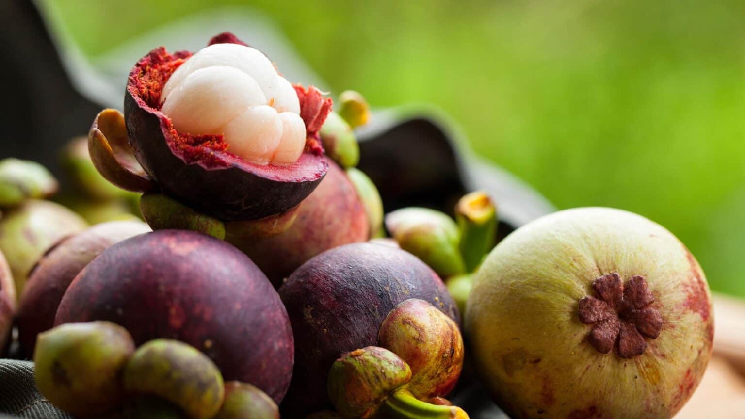 The 14 Best Tropical Fruits Around The World To Try - The Female ...
